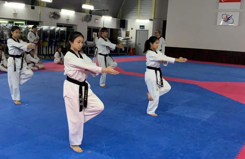 Poomsae Referee Course (March 2017) Special Review - Singapore ...
